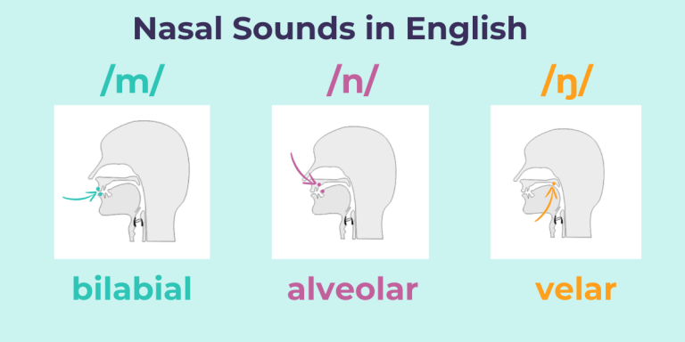Understanding the Articulation of English Nasal Consonants – Billie English